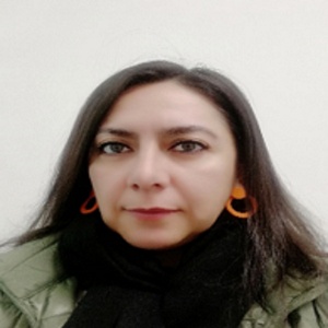 » Elizabeth Troncoso Ahues